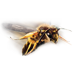 Latest Central Minnesota News - Central MN Buzz