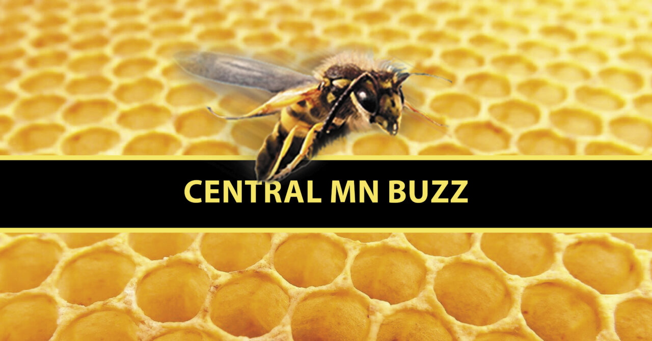 Live Video - Central Minnesota Buzz